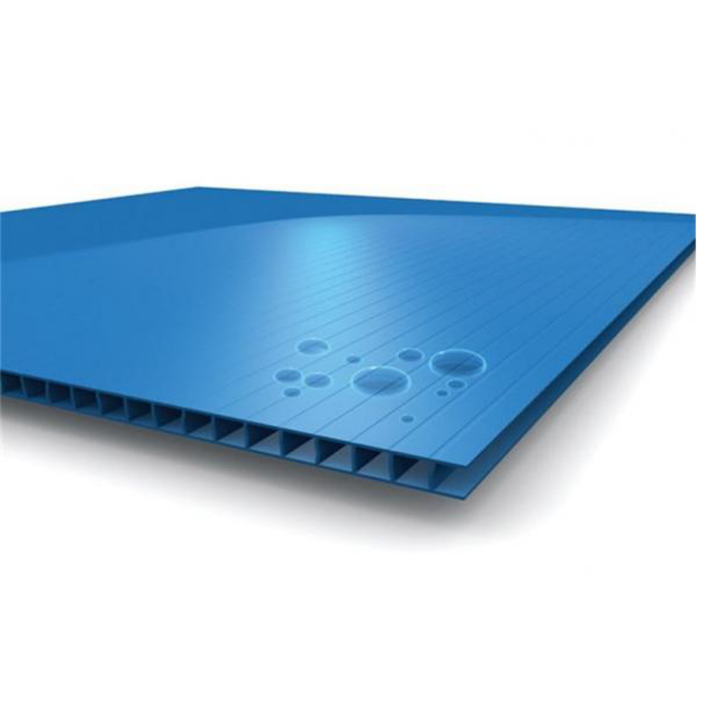 Cartonal Protection Board - Bardawil & Co.