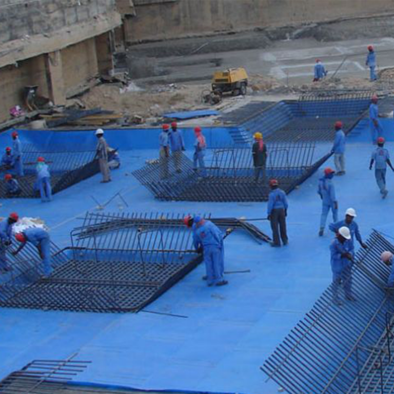 Cartonal Protection Board - Bardawil & Co.